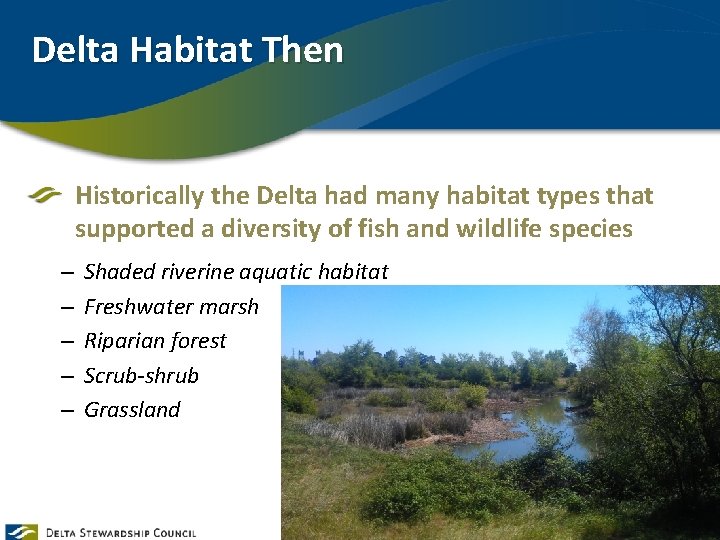 Improving Habitats along Delta Levees Issue Paper Proposed