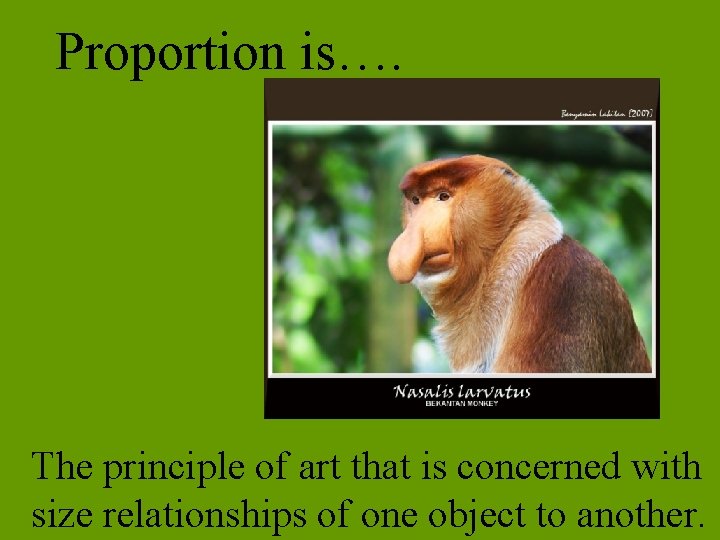 Proportion Proportion is The principle of art that