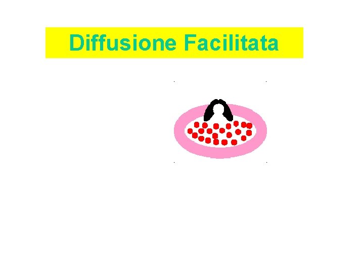 Trasporti attraverso la membrana Proteine di trasporto Una