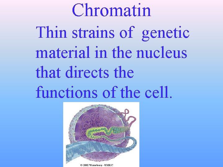 Cells are the basic unit of structure and
