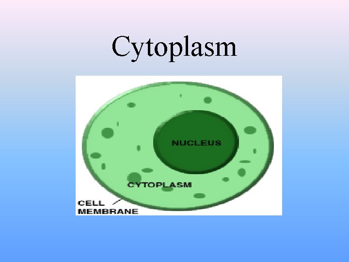 Cells are the basic unit of structure and