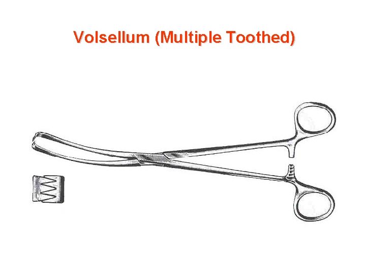 GYNECOLOGICAL INSTRUMENTS VAGINAL Speculums Cuscos vaginal speculum Sims