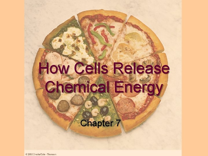 How Cells Release Chemical Energy Chapter 7 Learning