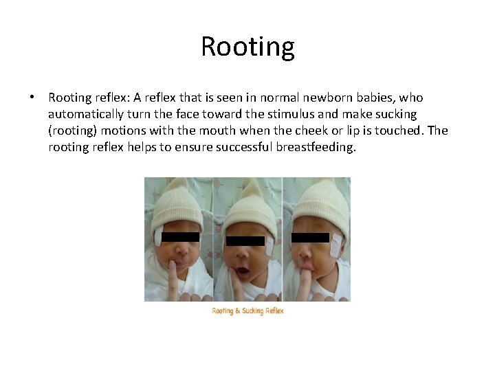 Power Point For Life Elizabeth Garcia Baby Nursery