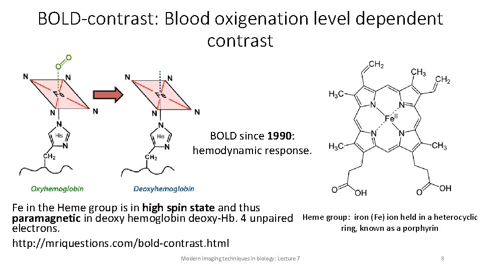 Modern imaging techniques in biology The physical background