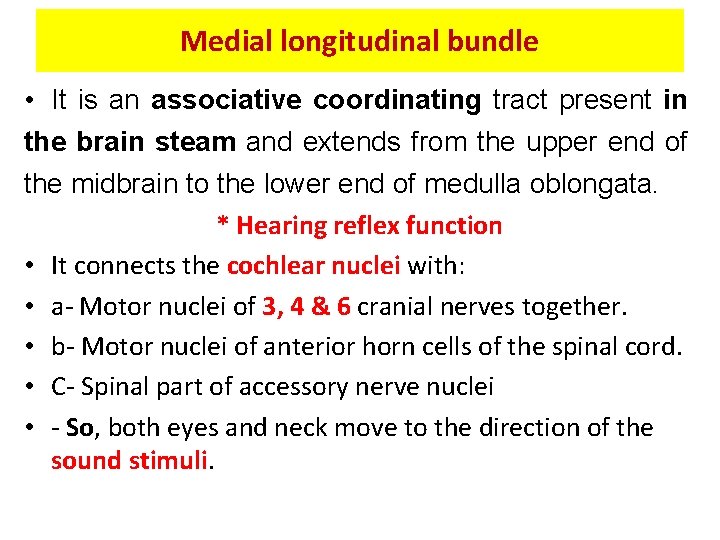 White Matter of cerebral hemisphere The white matter