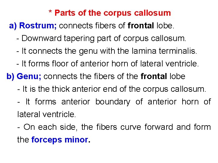 White Matter of cerebral hemisphere The white matter