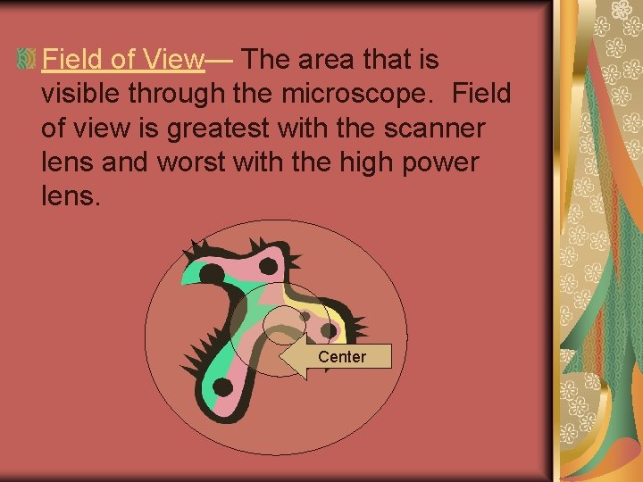 Microscope Word Dissection MicroSmall Scopeto look Microscope An