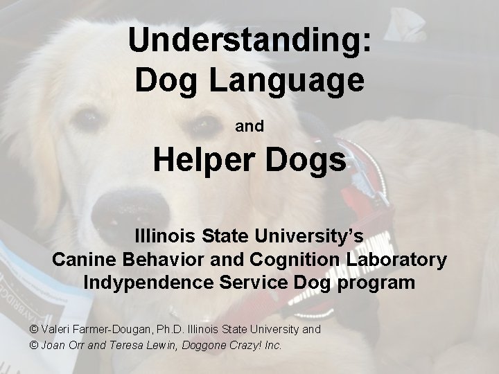 Understanding Dog Language and Helper Dogs Illinois State