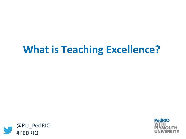 What is Teaching Excellence PUPed RIO PEDRIO What