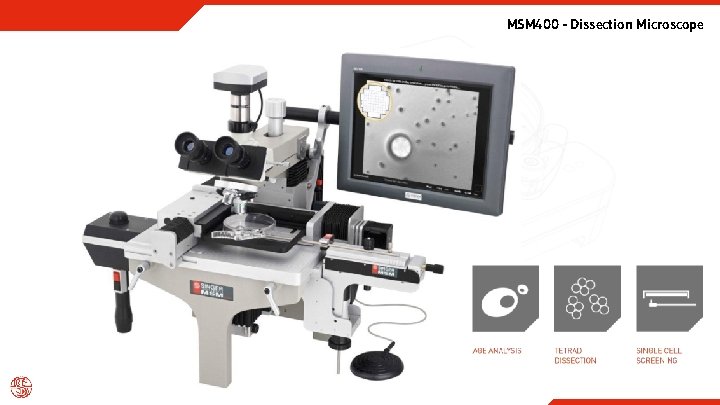 Singer Instruments Somerset Michaela Spitzer RD Scientist Add