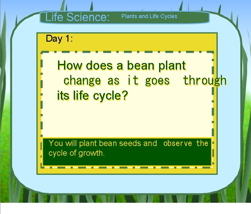 Plants and Life Cycles Plants and Life Cycles