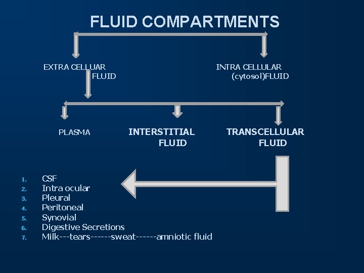 BODY FLUIDS Dr Heba Kareem Body Water Content