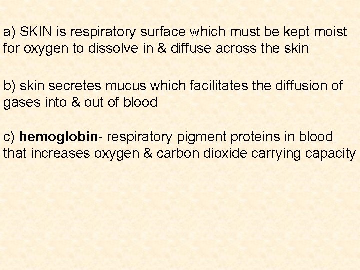 GAS EXCHANGE The Human Respiratory System Are the
