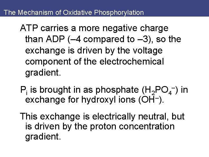 11 Bioenergetics and Metabolism Mitochondria Chloroplasts and Peroxisomes