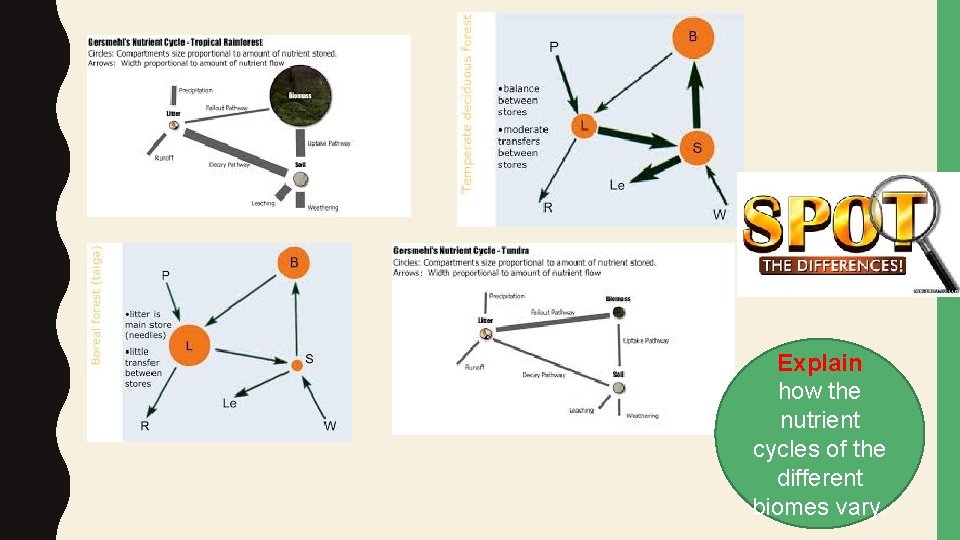 3 4 TROPICAL RAINFORESTS LO Tropical rainforests show