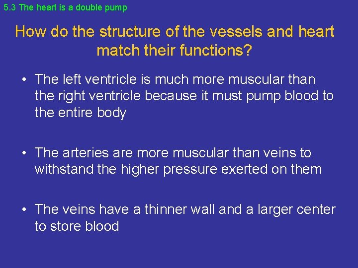 Chapter 5 Cardiovascular System Heart and Blood Vessels