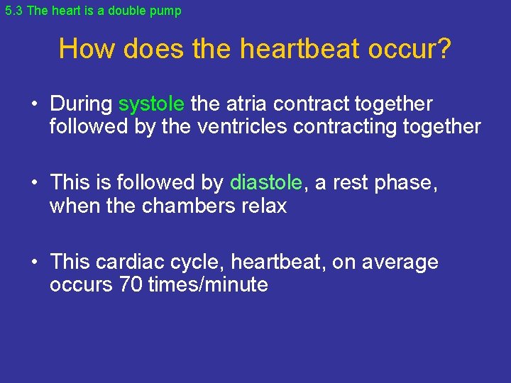Chapter 5 Cardiovascular System Heart and Blood Vessels