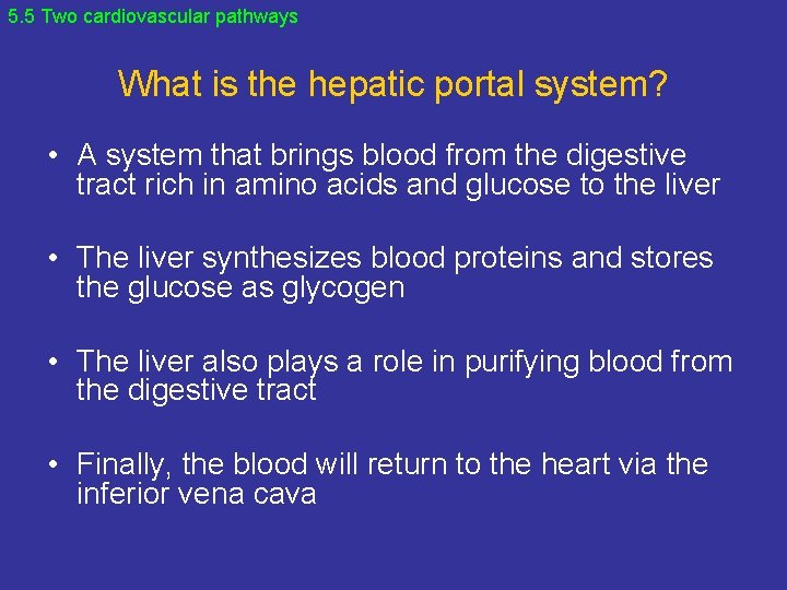 Chapter 5 Cardiovascular System Heart and Blood Vessels