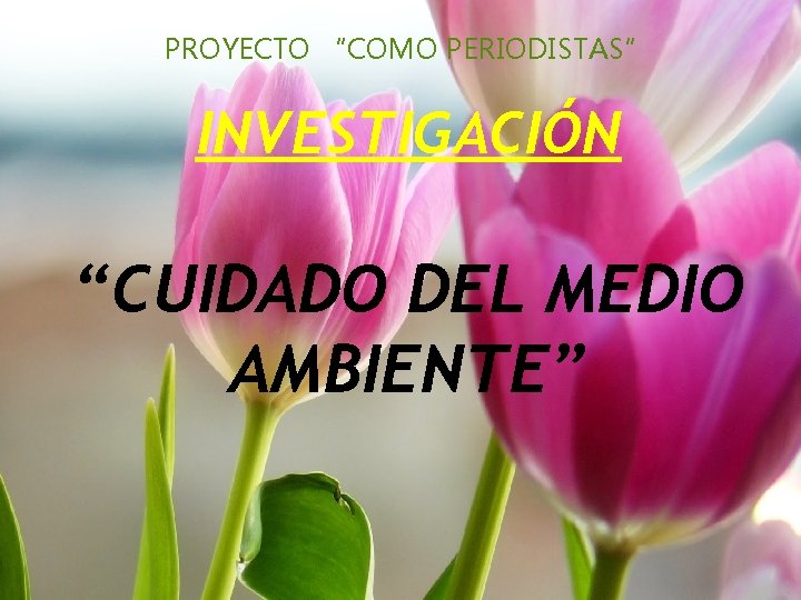 PROYECTO COMO PERIODISTAS INVESTIGACIN CUIDADO DEL MEDIO AMBIENTE