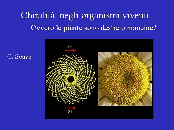 Chiralit negli organismi viventi Ovvero le piante sono