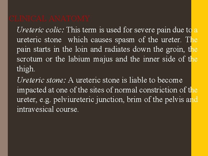 URETER By Dr Leena N Associate Professor Department