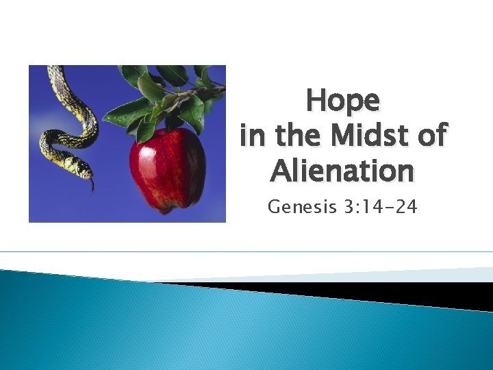 Hope in the Midst of Alienation Genesis 3