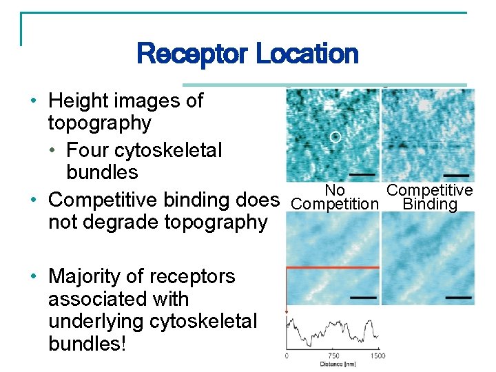 Chemomechanical mapping of ligandreceptor binding kinetics on cells