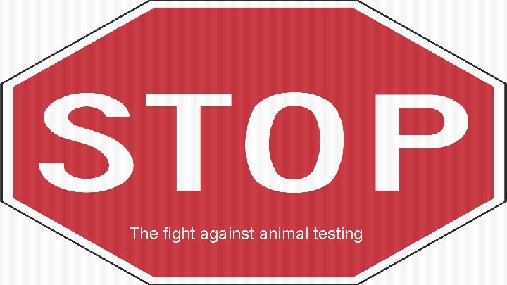 The fight against animal testing What is animal
