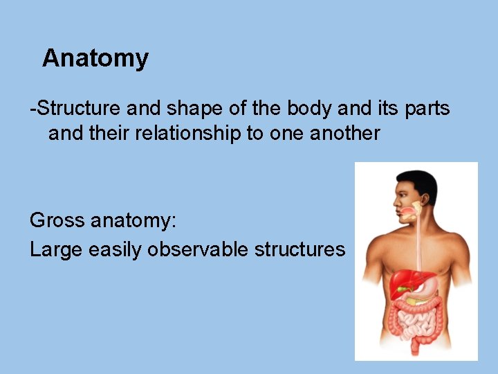 The Human Body An Orientation Anatomy Structure and