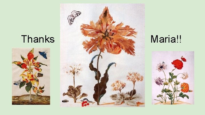 The Fabulous Flower Fascination Foundation presents The People