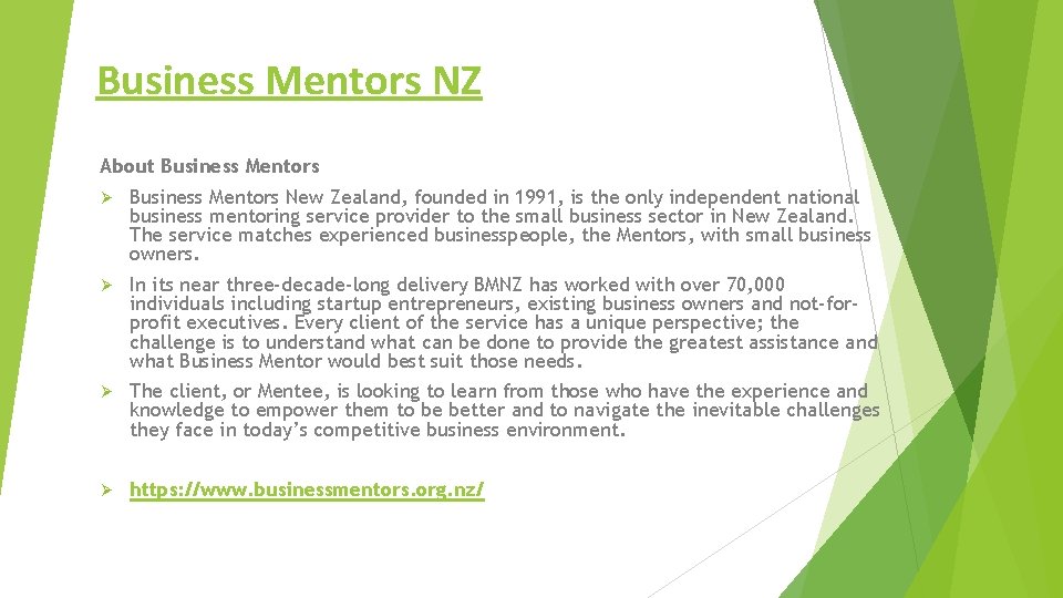 Mentoring in New Zealand Business Mentors NZ About