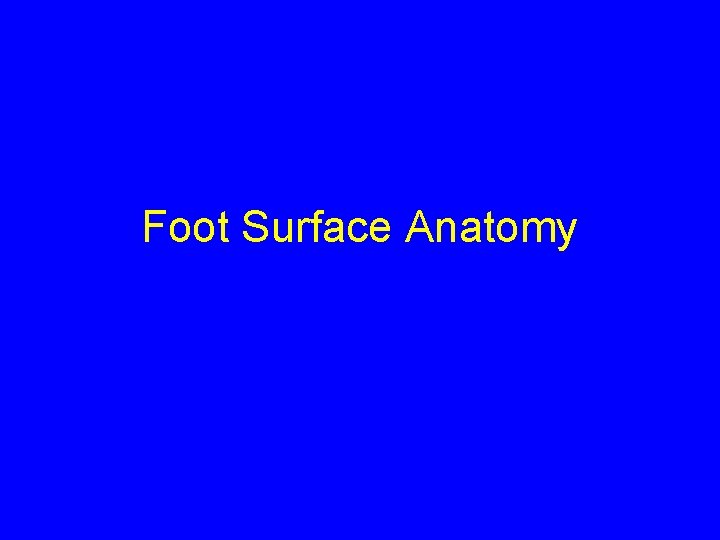 Foot Surface Anatomy Bony Palpation Medial Aspect Medial