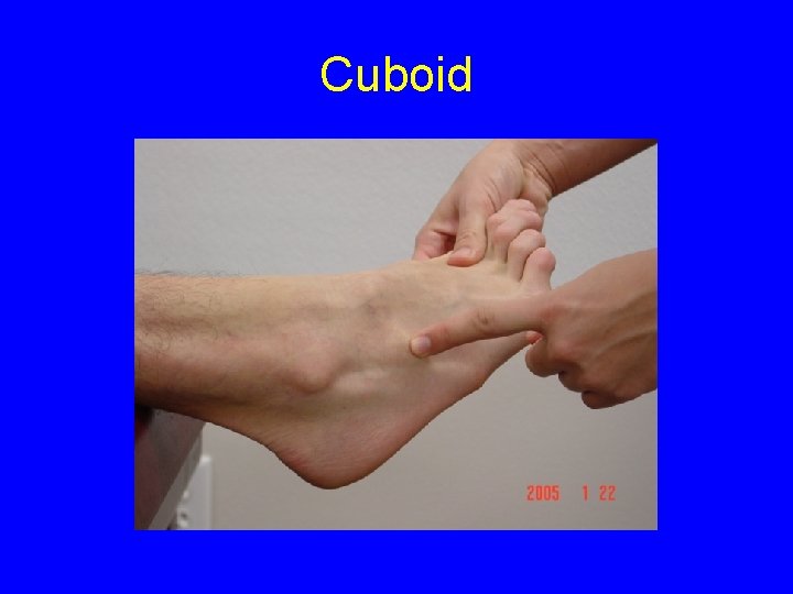 Foot Surface Anatomy Bony Palpation Medial Aspect Medial