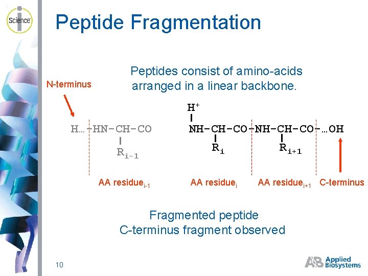 Protein Identification Using Tandem Mass Spectrometry Nathan Edwards