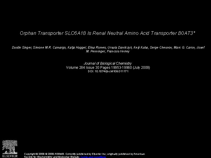 Orphan Transporter SLC 6 A 18 Is Renal