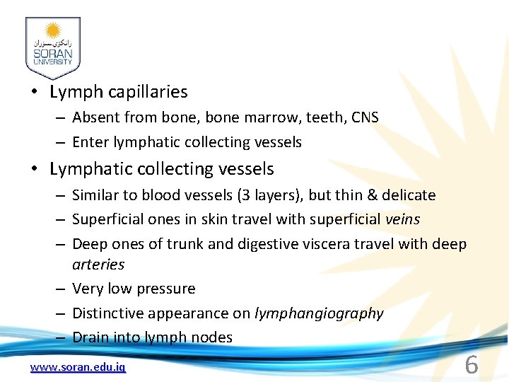 Physiology Lymphatic System Behrouz Mahmoudi www soran edu