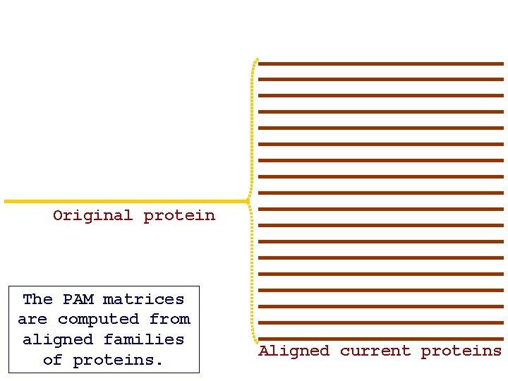 Comparing pairs of sequences Objectives To align two