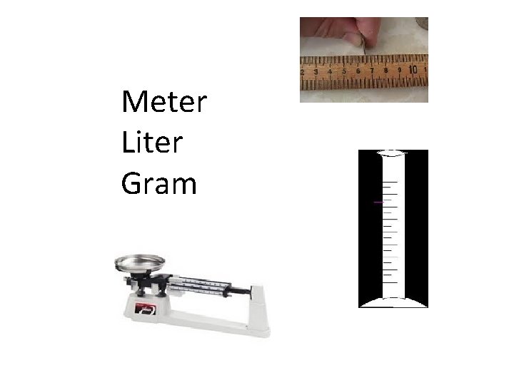 What is Biology The study of Living Things