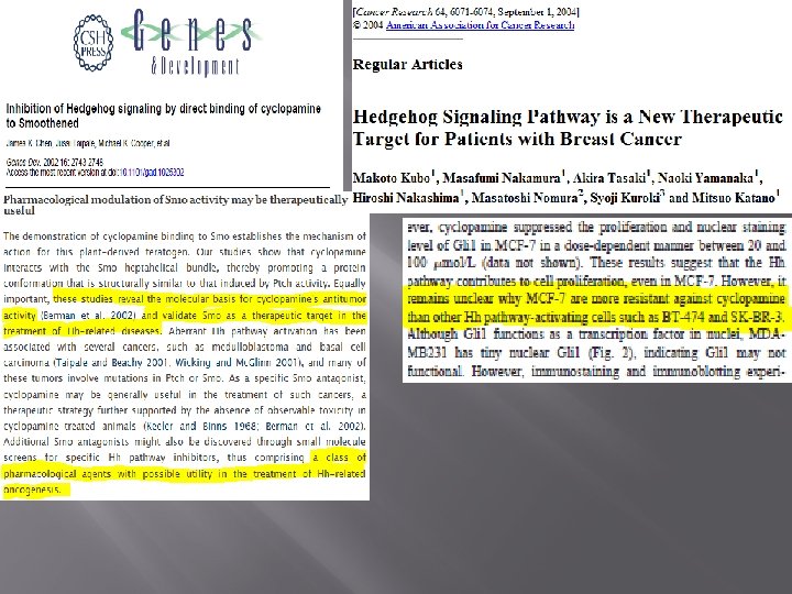 Cyclopamine A possible cancer treatment or the next