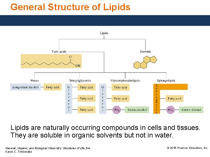 Lecture Presentation Chapter 17 Lipids Karen C Timberlake