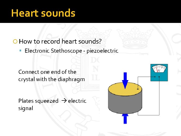 Heart Sounds in Biosignal Processing Module Centre for