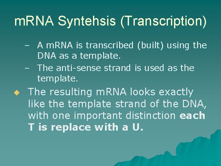 Protein Synthesis How DNA uses RNA and Ribosomes