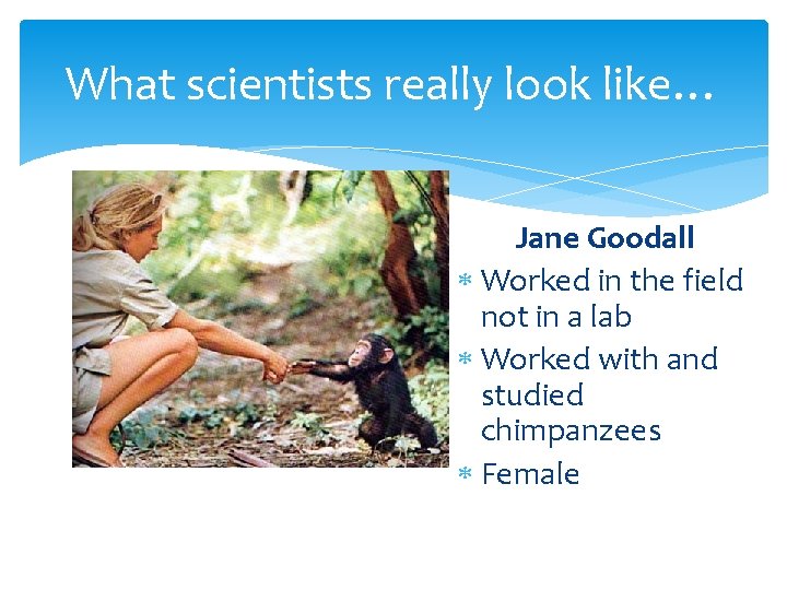 What are Scientists Mrs Dixons 7 th grade