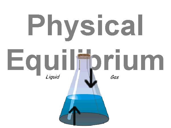 Physical Equilibrium Relate the concept of equilibrium to