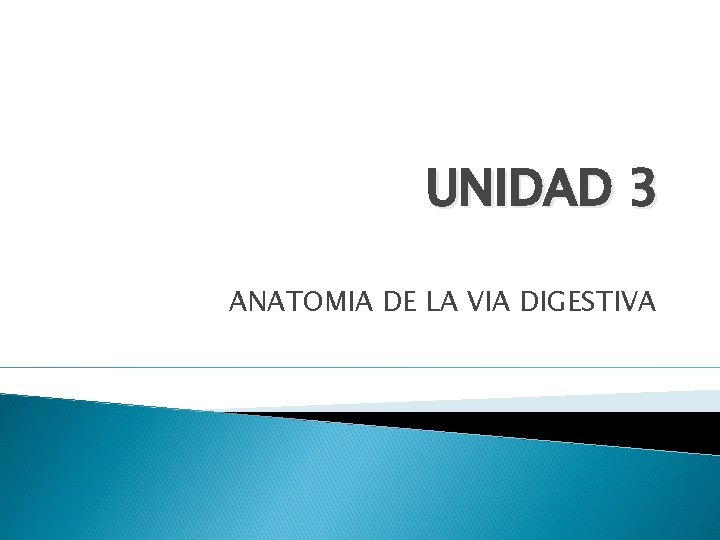 UNIDAD 3 ANATOMIA DE LA VIA DIGESTIVA ESTUDIOS