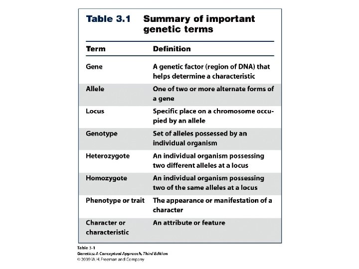 LECTURE CONNECTIONS 3 Basic Principles of Heredity 2009