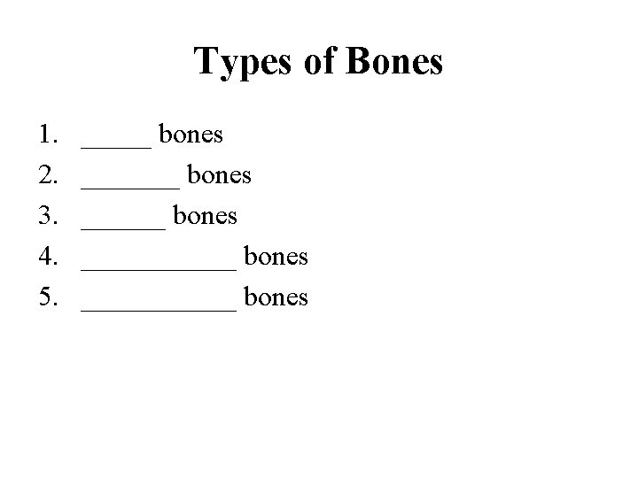 The Skeletal System Human Skeleton Purpose of bones