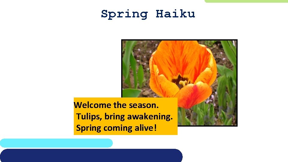 Spring Holidays English 8 th Grade Teacher Rivka