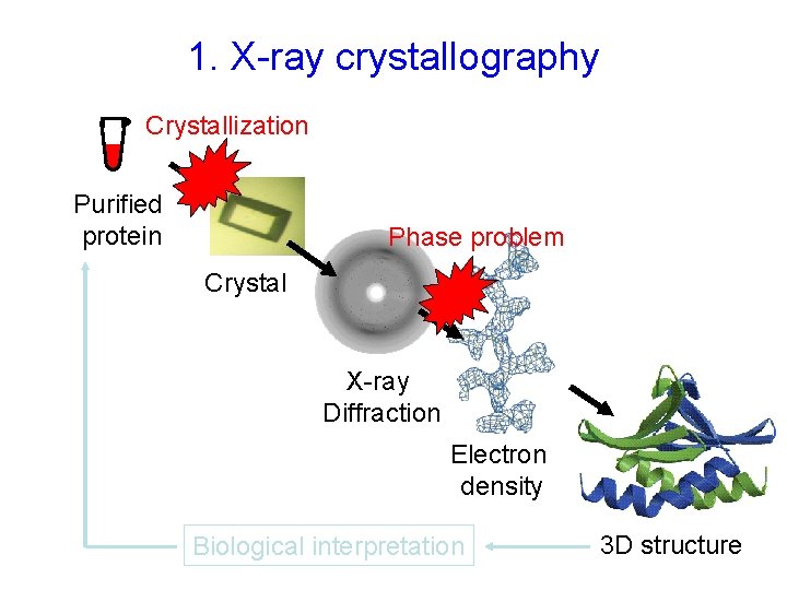 Solving protein structures molecular mechanics and docking Lecture